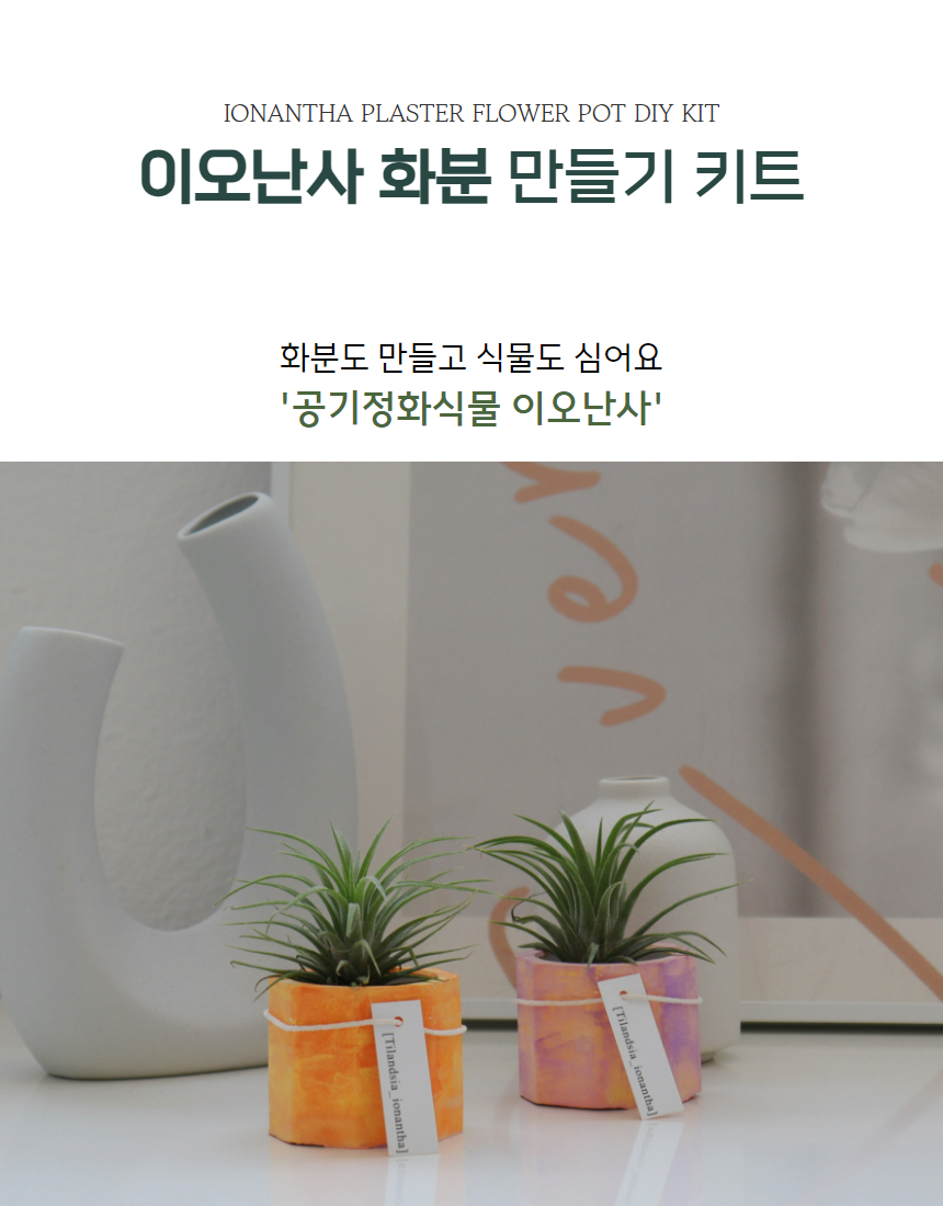 soap & poo 공기정화 식물 이오난사 미니화분 만들기 diy키트 - 핫트랙스