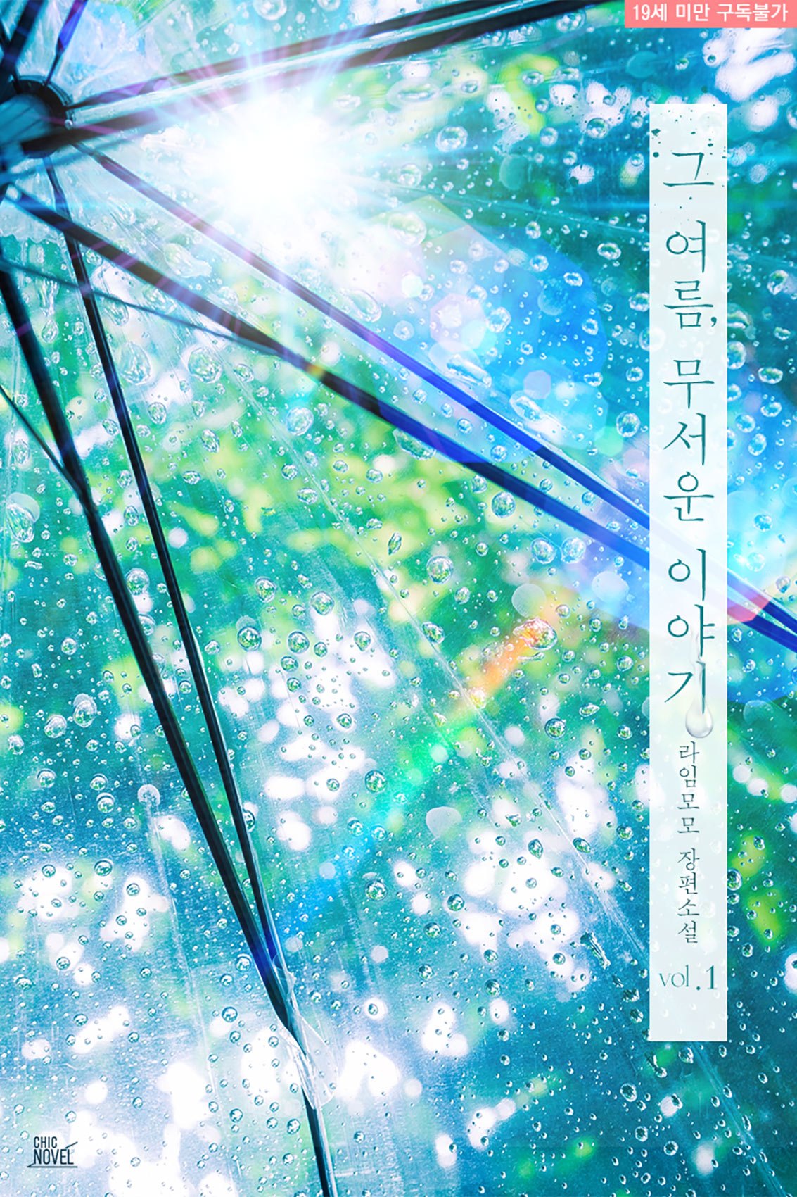 그 여름, 무서운 이야기 1 | 라임모모 | 시크노블 - 교보ebook