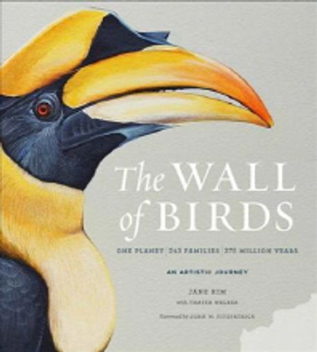 The Wall of Birds | Jane Kim - 교보문고