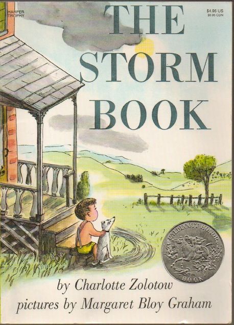 The Storm Book | Zolotow, Charlotte/ Graham, Margaret Bloy - 교보문고