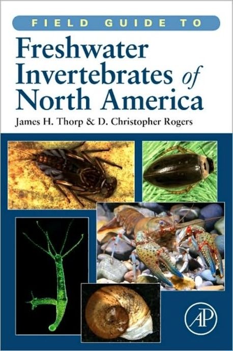 Field Guide to Freshwater Invertebrates of North America | Thorp, James ...