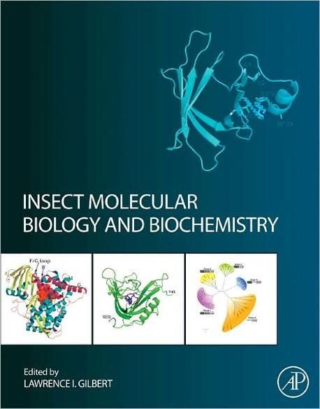 Insect Molecular Biology and Biochemistry | Gilbert, Lawrence - 교보문고