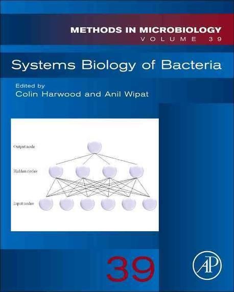 Taxonomy of Prokaryotes | Rainey, Fred - 교보문고