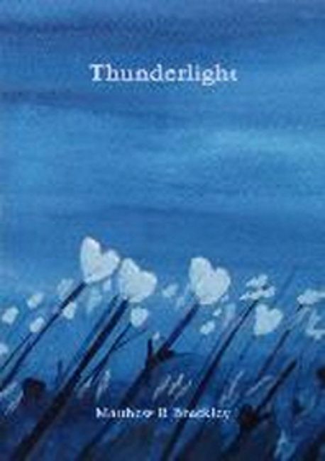 Thunderlight | Brackley, Matthew R. - 교보문고