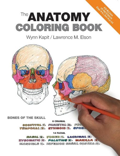 The Anatomy Coloring Book | Kapit, Wynn - 교보문고