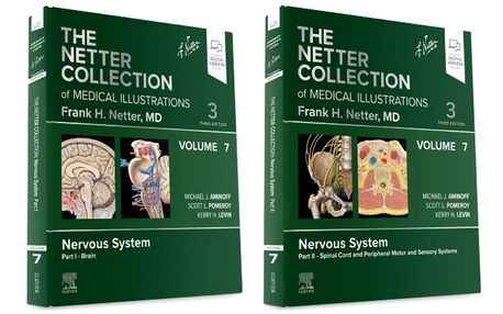 The Netter Collection of Medical Illustrations | Michael J., MD, DSc ...
