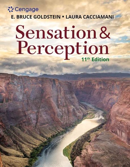 Sensation and Perception | Goldstein, E. Bruce - 교보문고