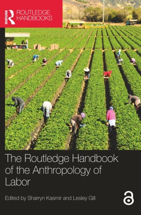 The Routledge Handbook of the Anthropology of Labor | Kasmir, Sharryn ...