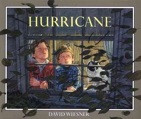 Hurricane | David Wiesner - 교보문고