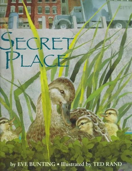 Secret Place | Bunting, Eve/ Rand, Ted/ Clarion Books/ Rand, Ted - 교보문고
