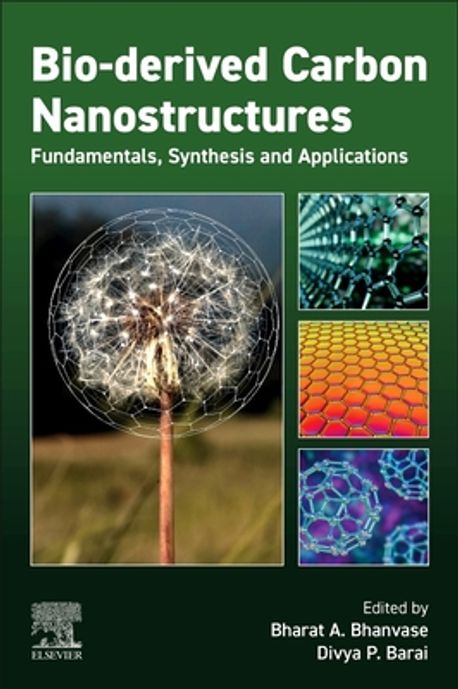 Bio-Derived Carbon Nanostructures | Bhanvase, Bharat Apparao - 교보문고