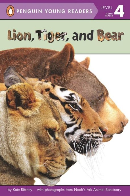 Lion, Tiger, and Bear | Ritchey, Kate - 교보문고