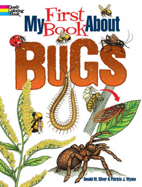 My First Book about Bugs | Patricia Wynne - 교보문고