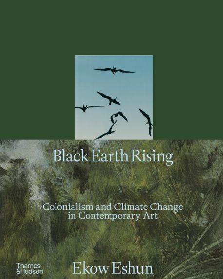 Black Earth Rising | Ekow Eshun - 교보문고