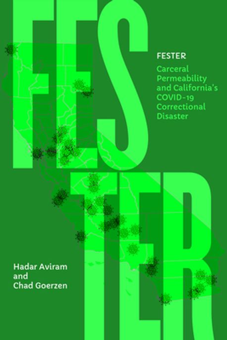 Fester | Hadar Aviram - 교보문고