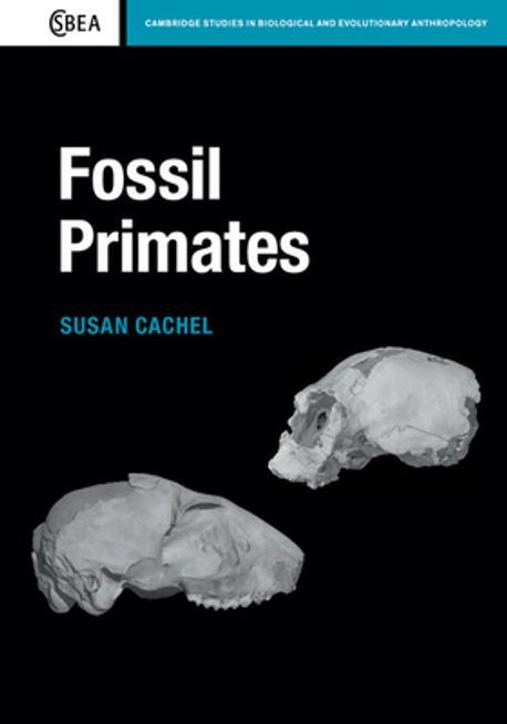 Fossil Primates | Cachel, Susan - 교보문고