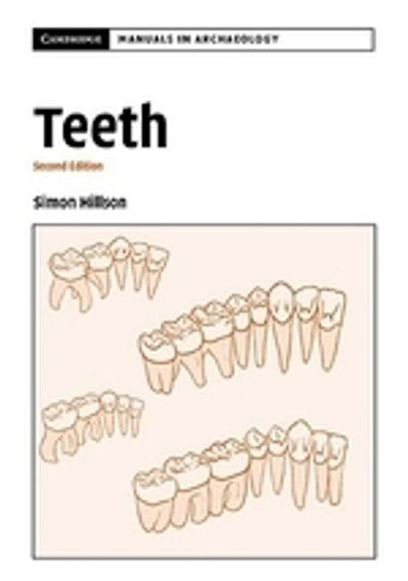 Teeth | Hillson, Simon - 교보문고
