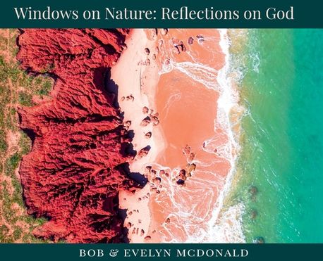 Windows on Nature | McDonald, Bob - 교보문고