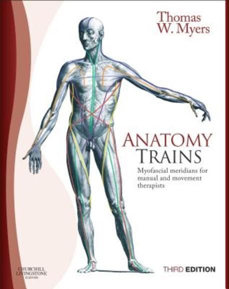 Anatomy Trains (Revised) (3RD ed.) | Myers, Thomas W - 교보문고
