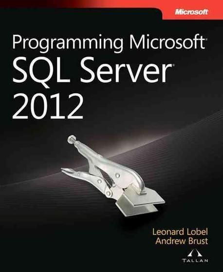 Programming Microsoft SQL Server 2012 | Lobel, Leonard - 교보문고
