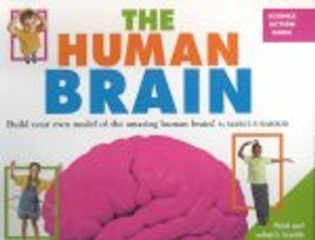 Human Brain : Build Your Own Model of the Amazing Human Brain! | Barbor ...