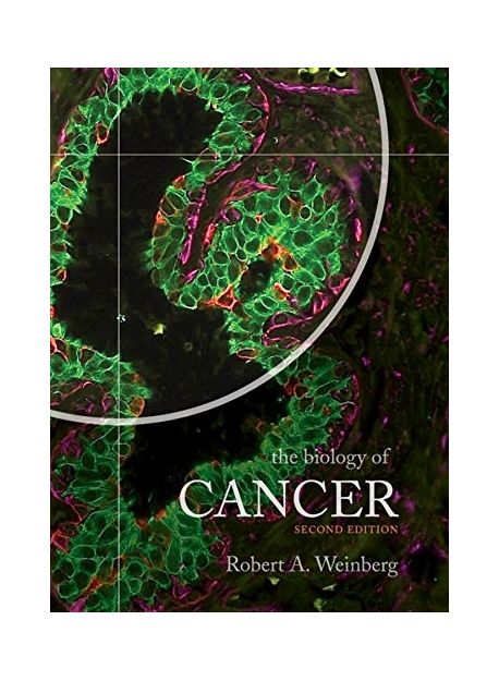 The Biology of Cancer | Robert A. Weinberg - 교보문고