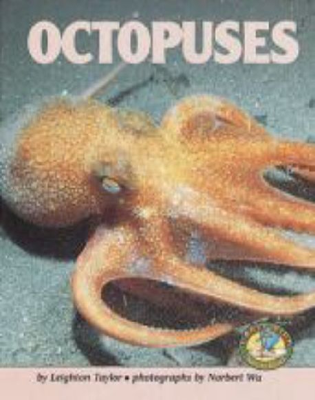 Octopuses | Taylor, L. R./ Wu, Norbert (Ilt)/ Taylor, Leighton - 교보문고