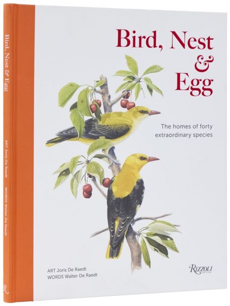 Bird, Nest & Egg | de Raedt, Walter - 교보문고