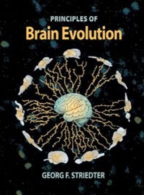Principles of Brain Evolution | Striedter, Georg F. - 교보문고