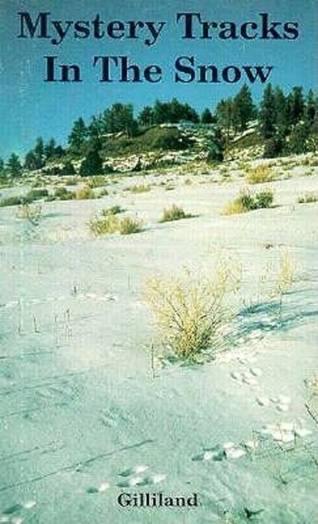 Mystery Tracks in the Snow | Gilliland, Hap - 교보문고