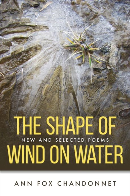 The Shape of Wind on Water | Chandonnet, Ann Fox - 교보문고