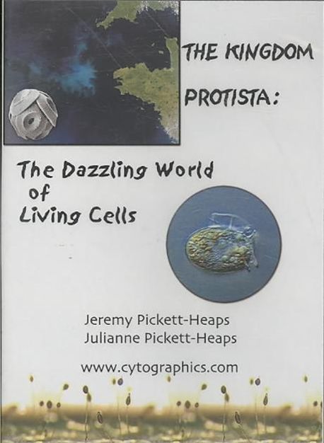 The Kingdom Protista : The Dazzling World of Living Cells | Pickett ...
