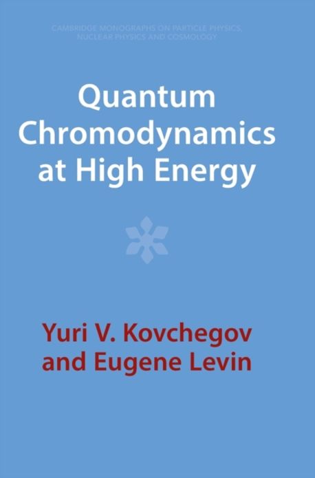 Quantum Chromodynamics at High Energy | Kovchegov, Yuri V. - 교보문고