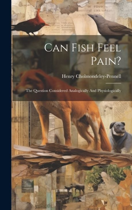 Can Fish Feel Pain? | Cholmondeley-Pennell, Henry - 교보문고