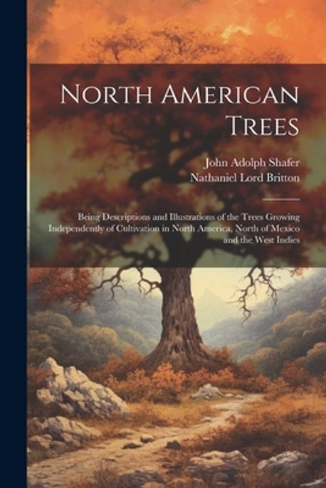 North American Trees | Britton, Nathaniel Lord - 교보문고