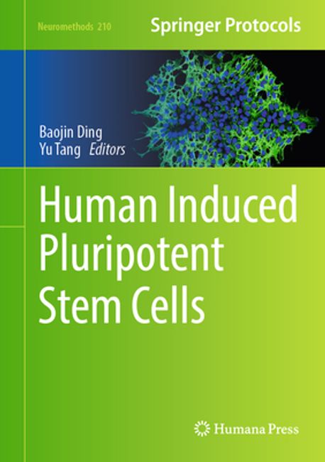 Human Induced Pluripotent Stem Cells | Ding, Baojin - 교보문고