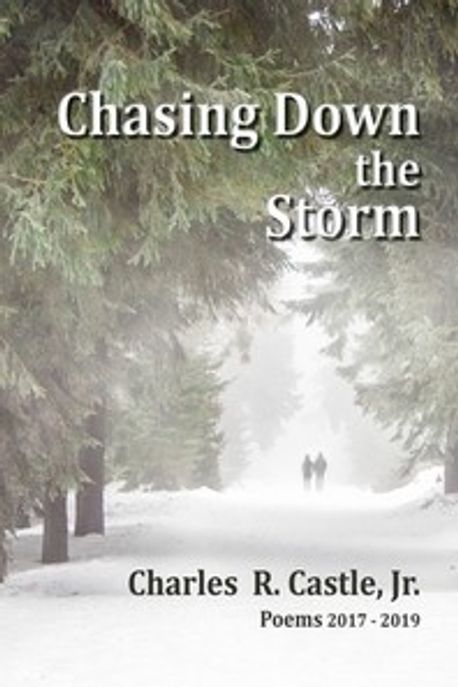 Chasing Down the Storm | Castle Jr, Charles R. - 교보문고
