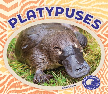 Platypuses | Olson, Elsie - 교보문고