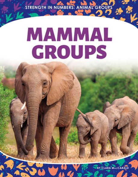 Mammal Groups | Maccarald, Clara - 교보문고