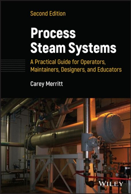 Process Steam Systems | Merritt, Carey - 교보문고
