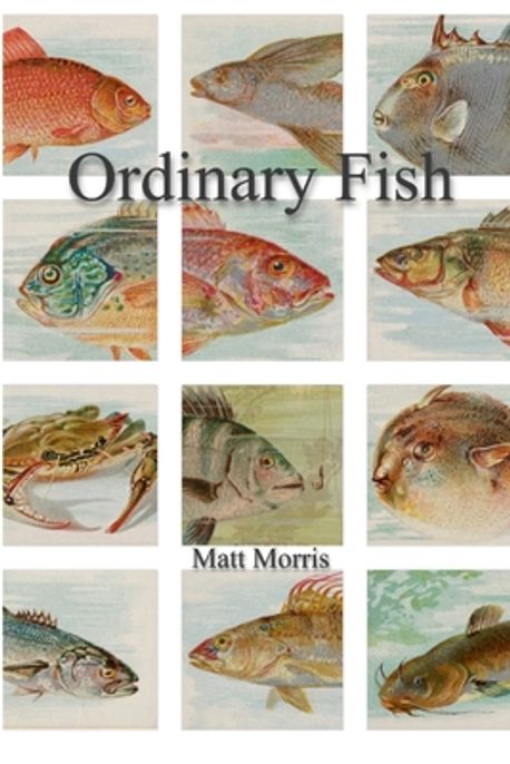 Ordinary Fish/Watt Worris | Morris, Matt - 교보문고