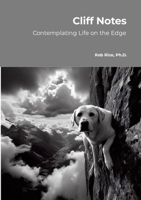 Cliff Notes | Rice, Robert - 교보문고