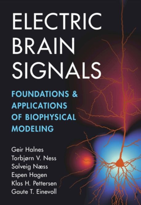 Electric Brain Signals | Geir (Norwegian University of Life Sciences ...