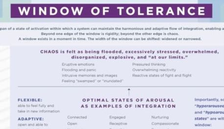Window of Tolerance Laminated Card | Siegel, Daniel J. - 교보문고
