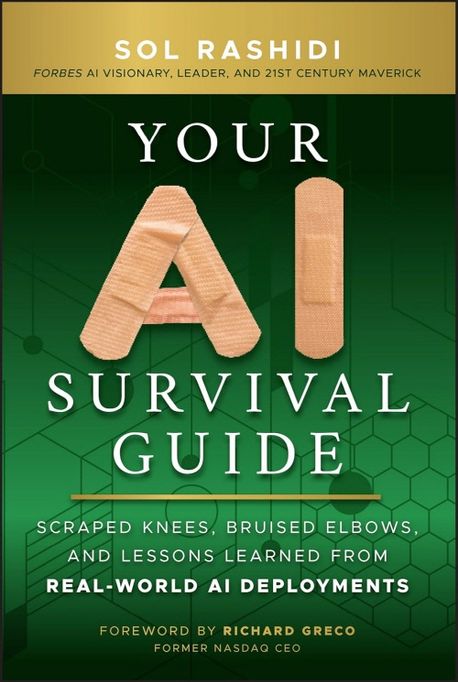 Your AI Survival Guide | Sol Rashidi - 교보문고