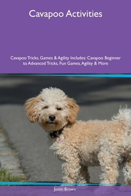 Cavapoo Activities Cavapoo Tricks, Games & Agility Includes | Brown, Justin - 교보문고