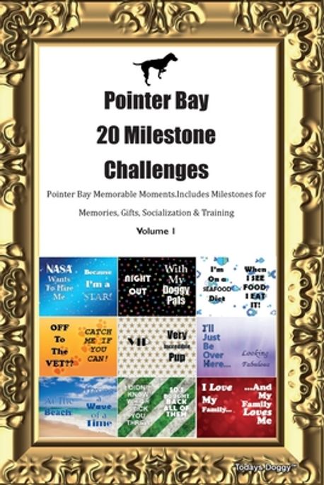 Pointer Bay 20 Milestone Challenges Pointer Bay Memorable Moments ...