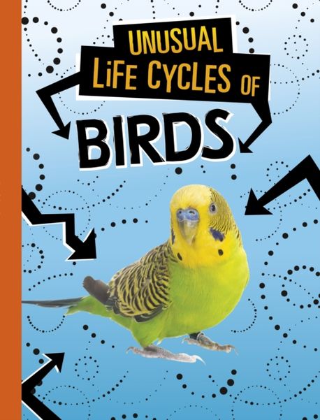 Unusual Life Cycles of Birds | Jaclyn Jaycox - 교보문고