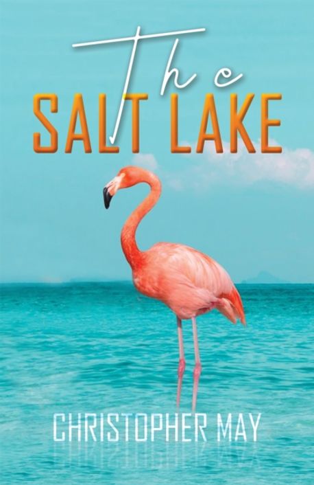 The Salt Lake | Christopher May - 교보문고