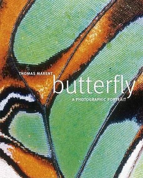 Butterfly | Marent, Thomas - 교보문고